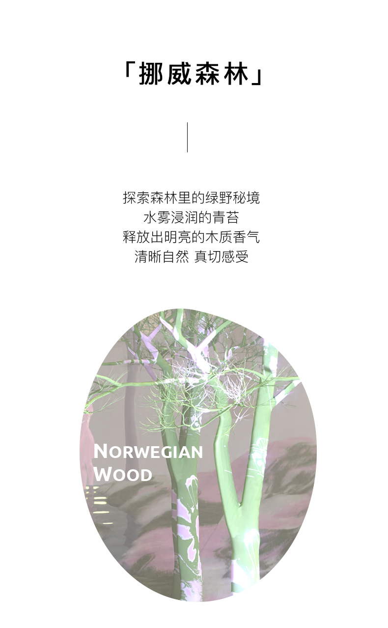 候鸟供应链
